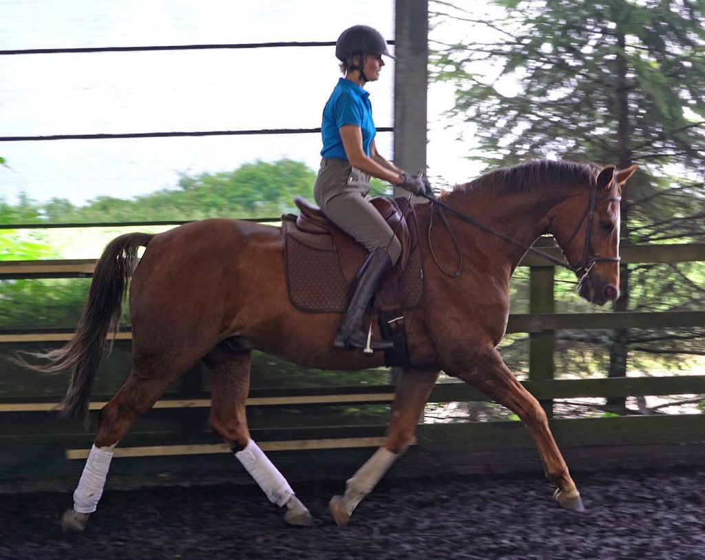 About RWYM - Ride With Your Mind